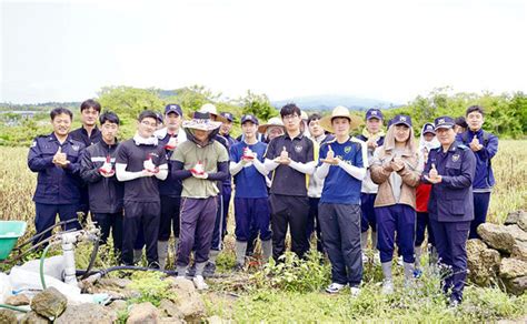 제주해안경비단 코로나19 극복 마늘농가 일손돕기 구슬땀 헤드라인제주
