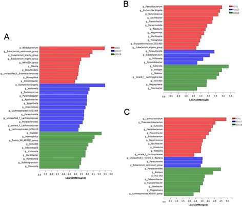 Enterotype Specific Effect Of Human Gut Microbiota On The Fermentation