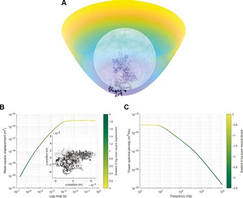 The Confinement Of An Optically Trapped Particle A Visualization Of
