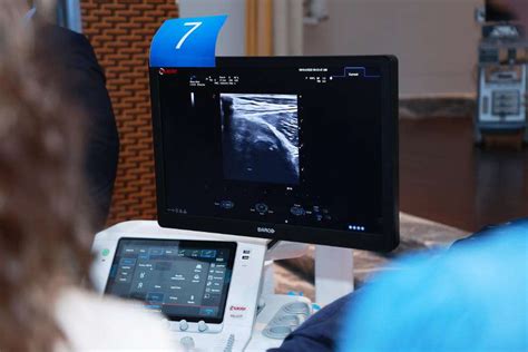 The 1st Era Eular Intermediate Musculoskeletal Ultrasound Course Era