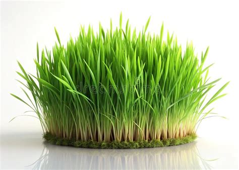 Realistic 3d Rendered Green Grass Texture A Pristine White Background