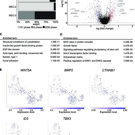 Evaluation Of Subpopulations By Unsupervised Clustering A Percentage Download Scientific