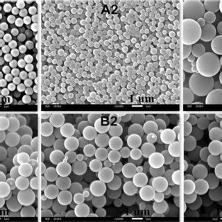 SEM Images Of A SiO2 B CN E SiO2 C CN P SiO2 Micro Nanospheres And
