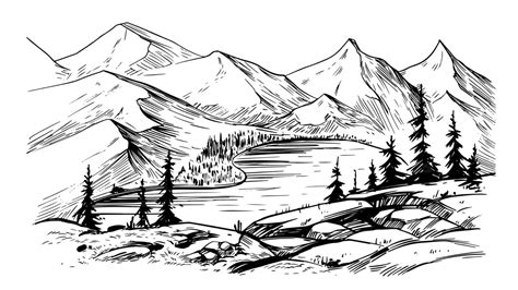 Linkedin Value Vs Visibility