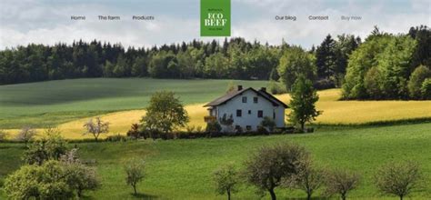 Best Free Open Source Web Resources For Web Developers Webappers