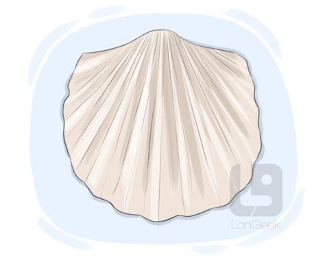 Definition And Meaning Of Brachiopod Langeek