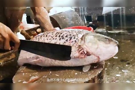 处理一条鱼能月入5万据说有人花10万都请不走这刀工简直了 月入 处理