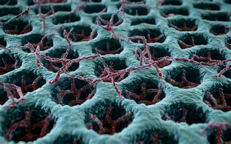 Premium Photo A Visual Representation Of Fibrinogen Forming A Network