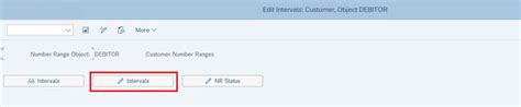 Number Range A1 Is Not Defined For Object Debitor Message No F2044