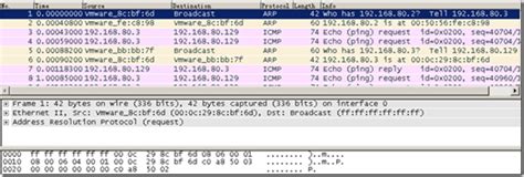 Mastering Mac Address Collection With Wireshark For Network Analysis