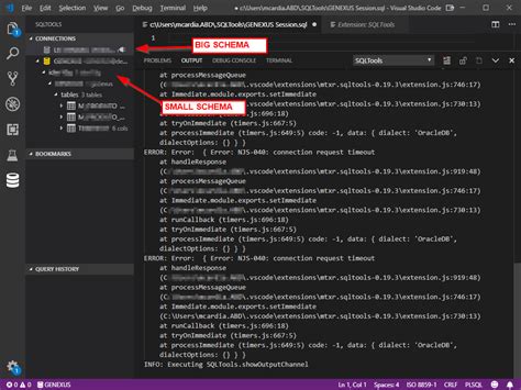 Oracle Timeout · Issue 261 · Mtxrvscode Sqltools · Github