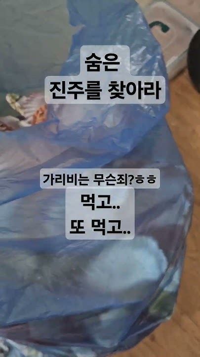 40년우정 미션진주를 찾아라 마지막 반전있어요 끝까지 봐주세요 전원생활 송년파티 1박2일 죄없는가리비 Youtube