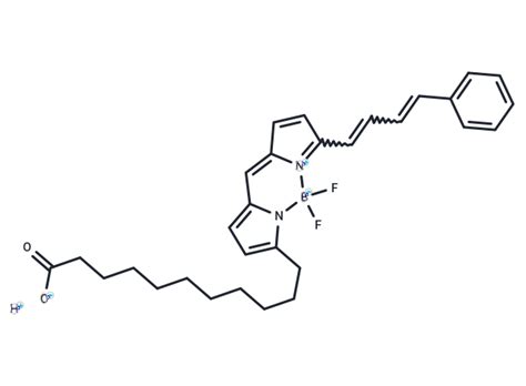Bodipy 581591 C11 Fluorescent Radioactive Probe Targetmol