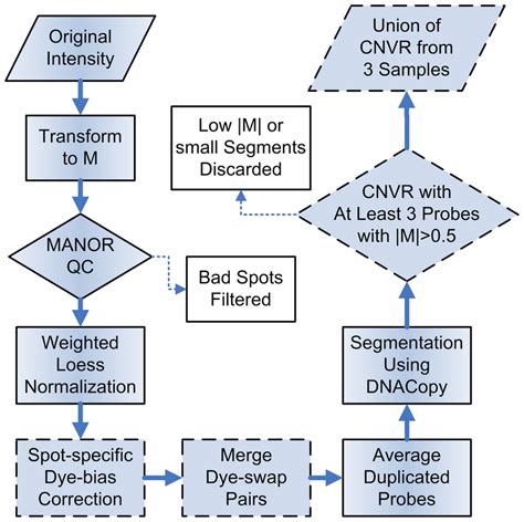 The Pipeline Of Microarray Data Processing The Shapes Bordered By