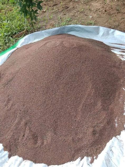 ငႃးယွမ်းၶိုၼ်းဝႆး ၸဝ်ႈသူၼ်ငႃးလၢင်းၶိူဝ်း ႁိူဝ်ႉၸႂ်ၸွမ်း Shan News