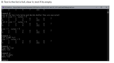 Solved Assignment Implement The Constructors Operators