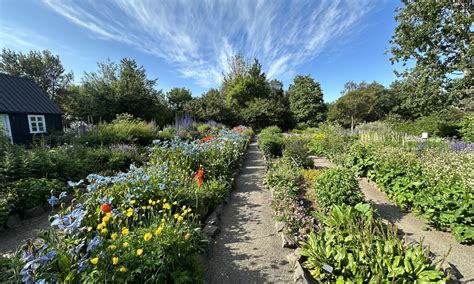 Flower Power Akureyri Botanical Gardens Iceland ⋆ The Passenger