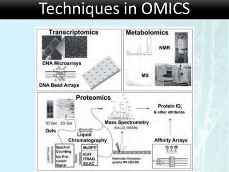 Genomics Transcriptomics Proteomics Metabolomics Basic Concepts