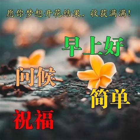 早上好的祝福语图片表情 早上好的问候语优美句子2020 搜狐大视野 搜狐新闻