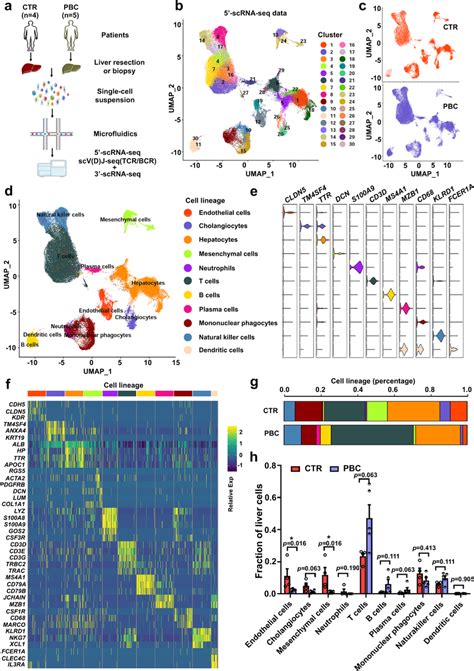 Single Cell Transcriptomic Atlas Of Human Liver Cells A The Strategies
