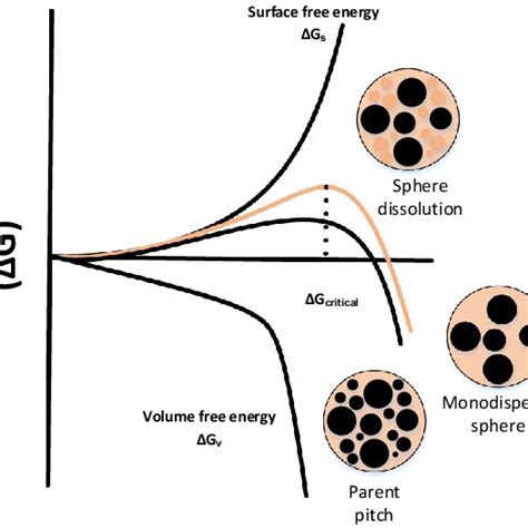 Schematic Free Diagram Energy For Dissolution Of Spherical Mesophase