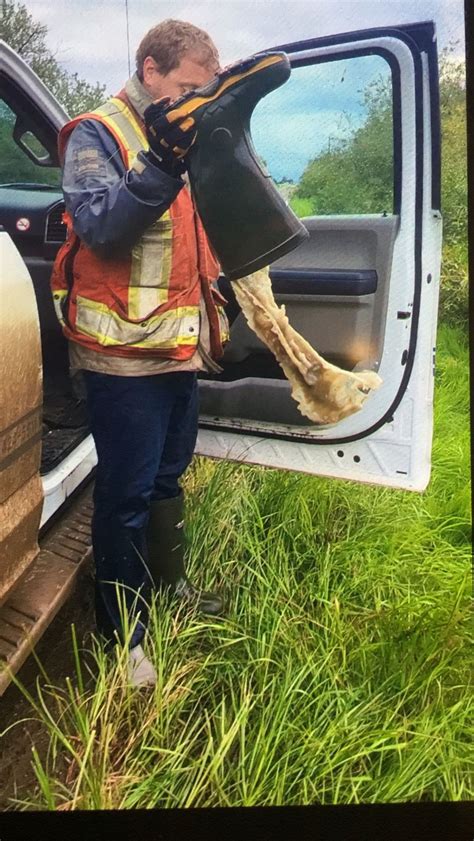 Challenger Geomatics Ltd On Linkedin Photocontest Surveyingphotos Challengergeomatics