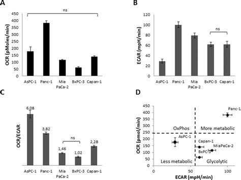 Metabolism Of Pdac Cell Lines A Measurement Of Ocr B Ecar C