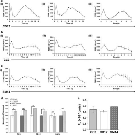 Differentiation Of IPSCs To BMECs IPSCs Were Seeded At Defined Download Scientific Diagram