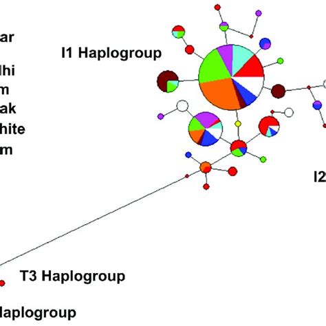 Multi Dimensional Scaling Display Of Pairwise F ST Among Sri Lankan