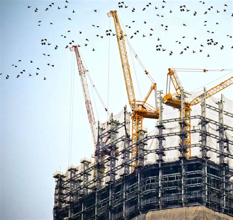 Plant Designation Information And Advice Menger