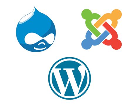 Top Wordpress Design And Development Company In India
