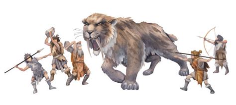 Saber Tooth Tiger Size Comparison To Human