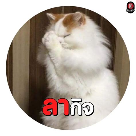 ลางานจ้ะ แกลเลอรีที่โพสต์โดย ถูกต้อง💋 Lemon8