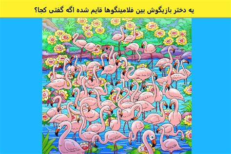 یه دختر بازیگوش بین فلامینگوها قایم شده اگه گفتی کجا؟