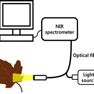 Schematic Diagram Of NIR Spectra Measurement Download Scientific Diagram