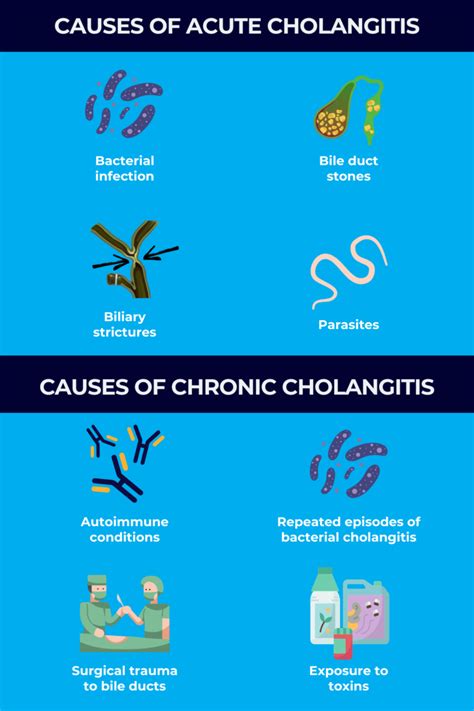 Causes Of Cholangitis Liver Disease News