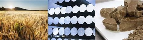 Sap Commodity Management