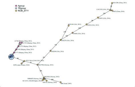 Minimum Spanning Tree Based On Cgmlst Allelic Profiles Of 23 St11 Download Scientific Diagram