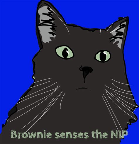 Catnip Gifs Page 2 WiffleGif