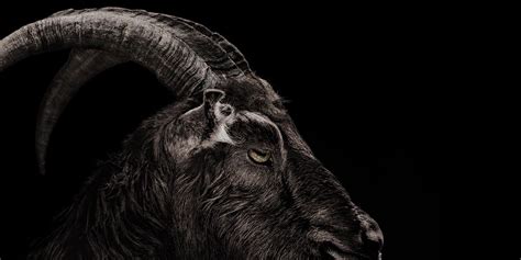 The Witch Black Philip Explained