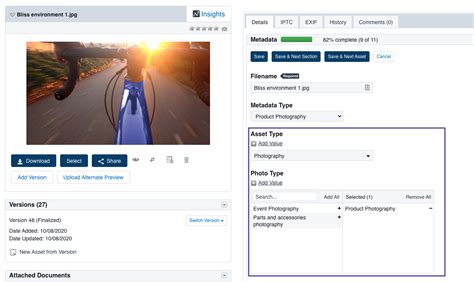 What Are Dependent Metadata Fields