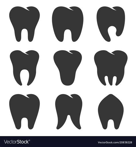 Teeth Type Icons Set On White Background Vector Image