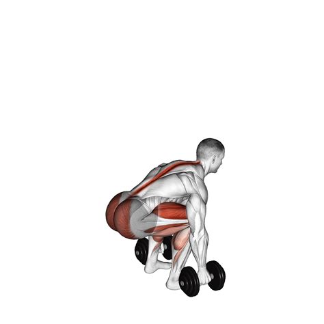 6 Best Dumbbell Hamstring Exercises With Pictures Inspire Us