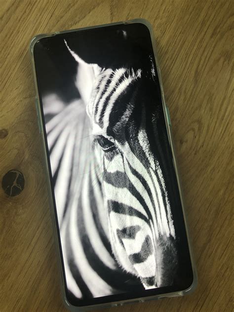 Oneplus T The Top Smartphone In Test