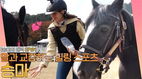 말과 교감하는 힐링스포츠 승마 승마의 매력 EP 01 MBN 20221114 방송 YouTube