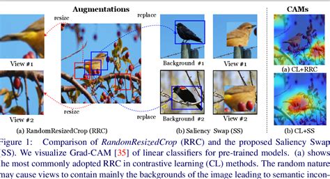 Figure 2 From Exploring Localization For Self Supervised Fine Grained Contrastive Learning