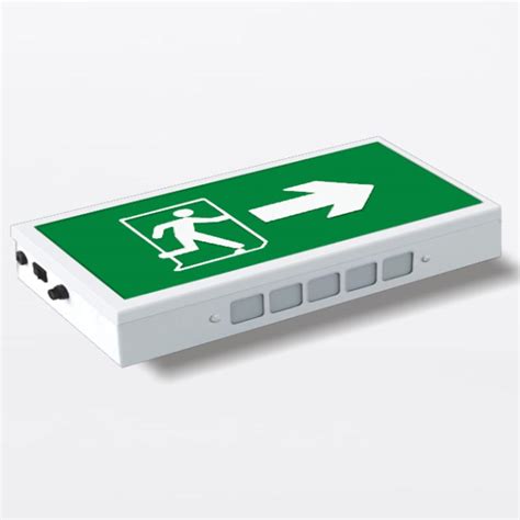 Emergency Exit Light 1 X 18 W E Nm As Sm Exit Light Prolite