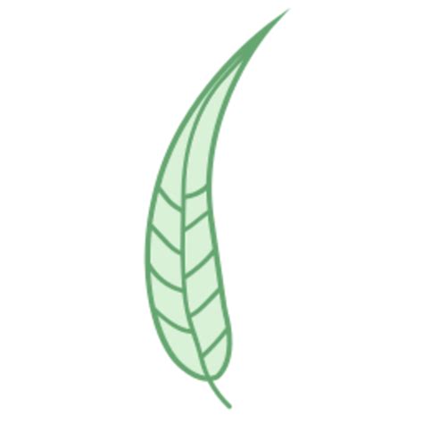 Diseño De Ilustración De Hoja 34962192 Png