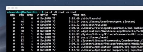Pro Terminal Commands 10 Uses For Ps On Macos Apple Gazette