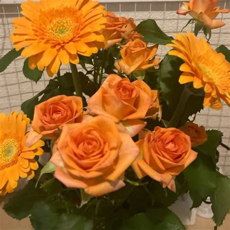 Ko Ri621 • Threads Say More